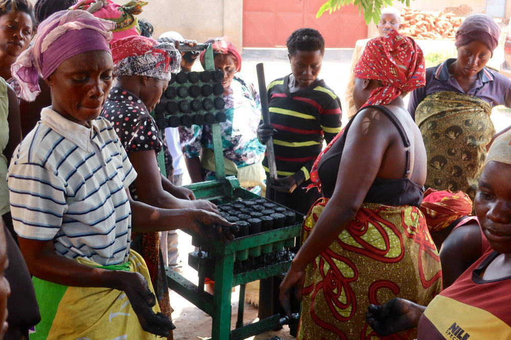 Biodiversity Hub International – World where Nature Thrives