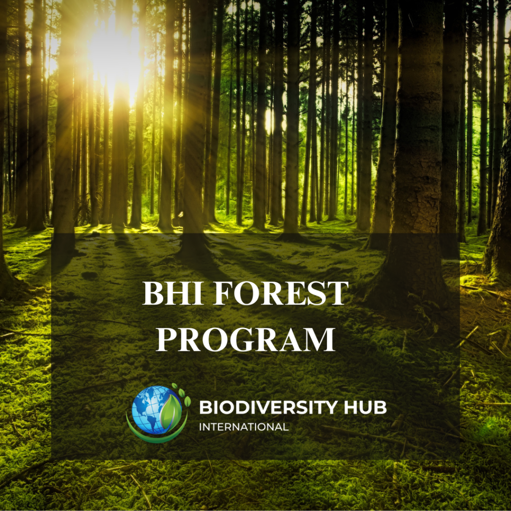 Biodiversity Hub International – World where Nature Thrives